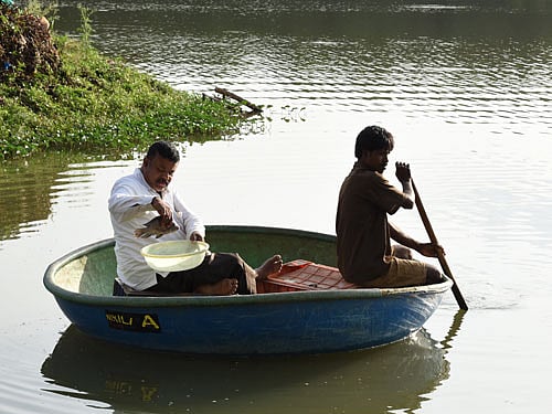 Freshwater fish, not so fresh