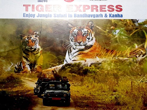 On World Environment Day Tiger Express flagged off