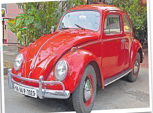 Smitten by the beauty of Beetle