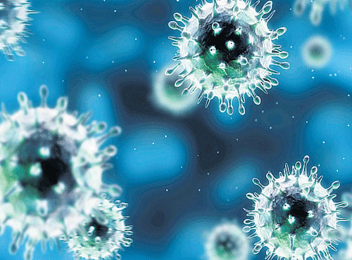 Viruses may have been major driver of human evolution: study