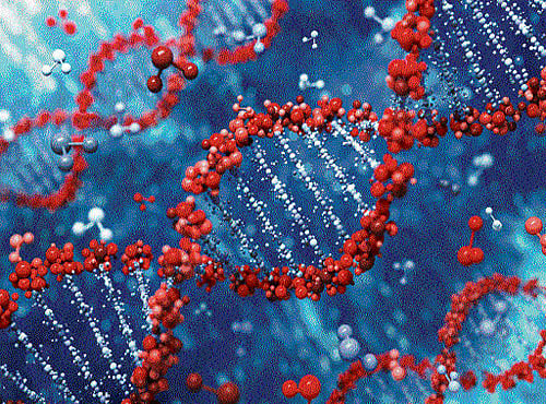 DNA sequenced in space for first time: NASA