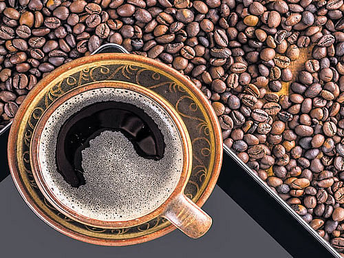 Coffee-infused foam removes lead, mercury from water