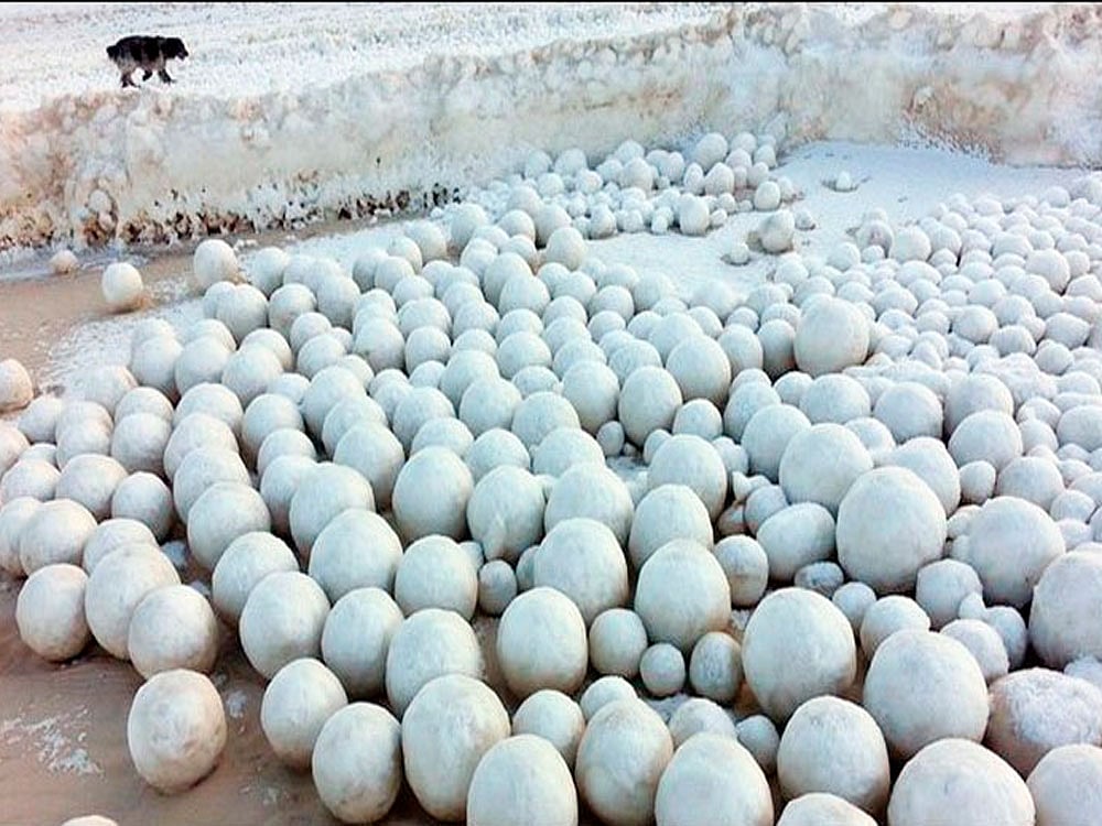 Strange giant snowballs appear on beach in Siberia