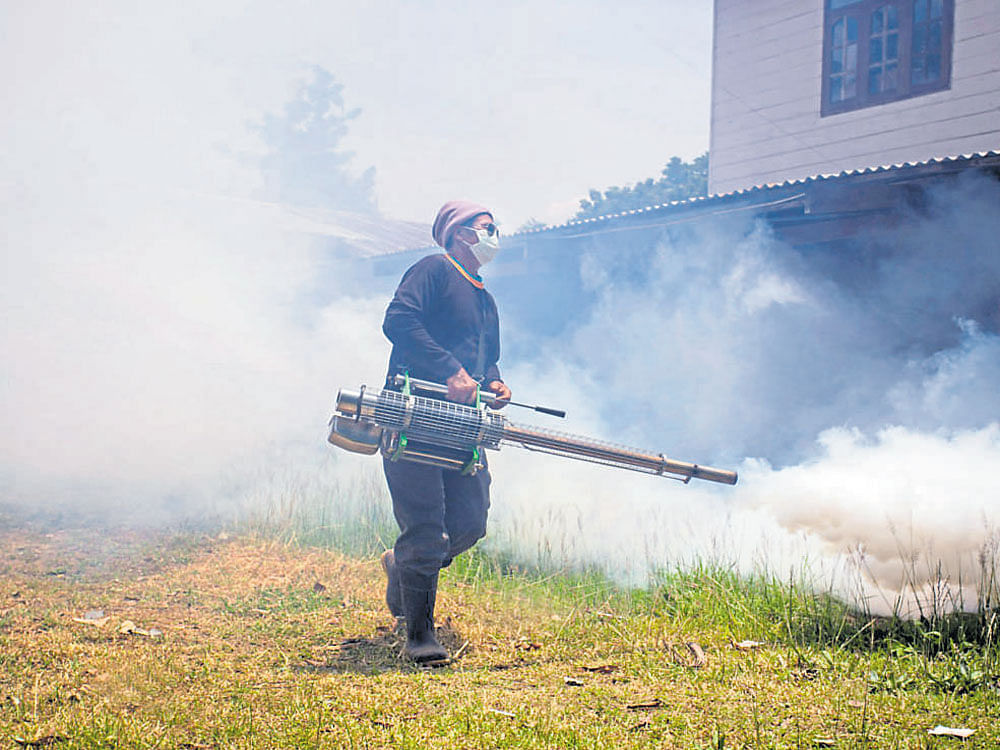 The basics of fumigation