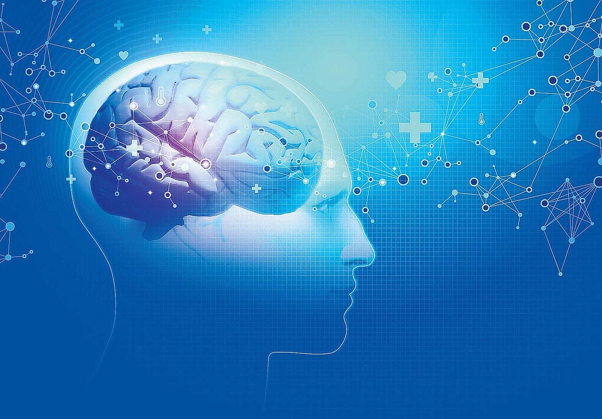 Deciphering the genes of intelligence