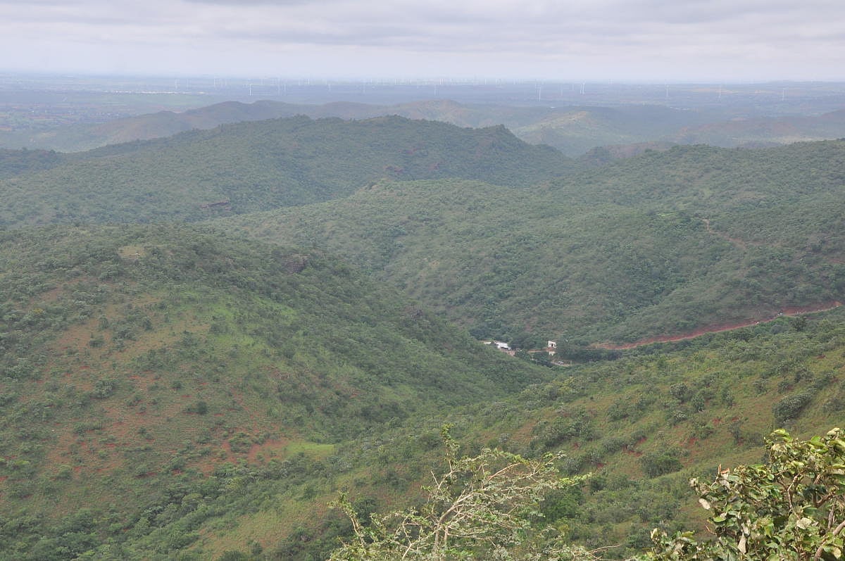 Kappatagudda regains its past glory