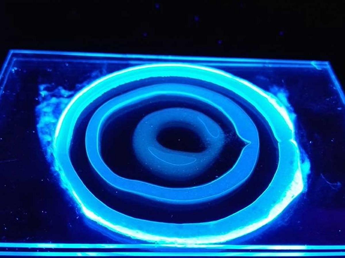 'Living materials' 3D-printed using bio ink