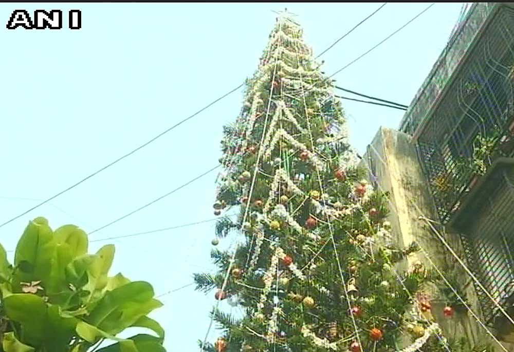65-ft-tall Christmas tree cynosure of all eyes in Mumbai