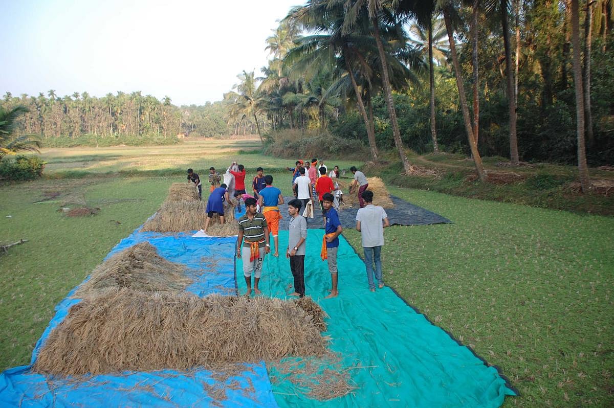 Govt college NSS students strive to create model village