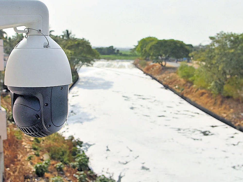 CCTV cameras failed to secure lake, says officials