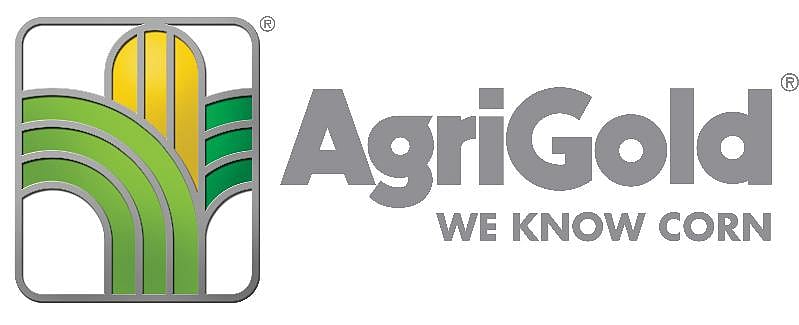 High court okays district level auction of AgriGold assets
