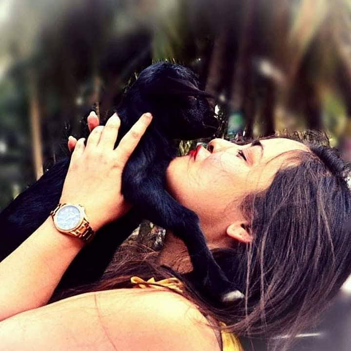 Wildlife lovers cry foul over shooting of Avni