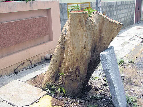 People's problems- Shoddy work by BBMP