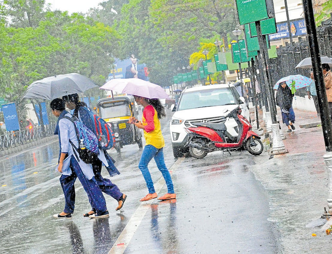 Early monsoon showers cheer farmers in North Karnataka