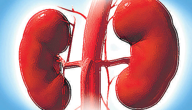 6-year-old girl's kidneys 'missing' after operation at AIIMS