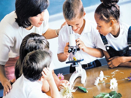 For more curious minds in science