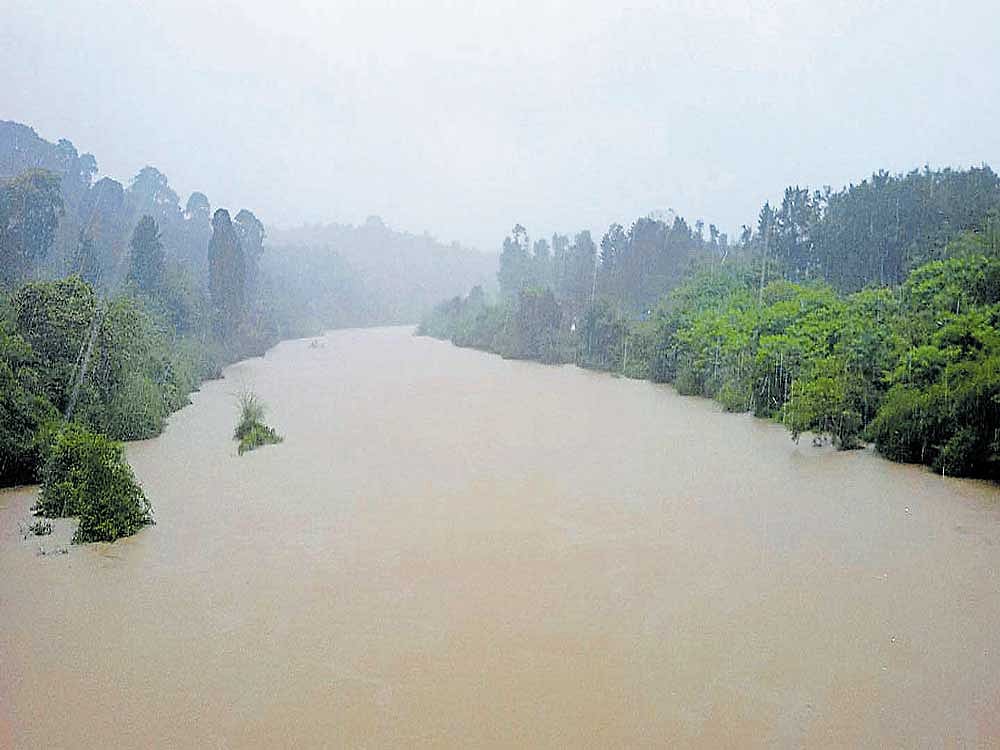 Holiday today for schools, colleges in rain-ravaged Kodagu district