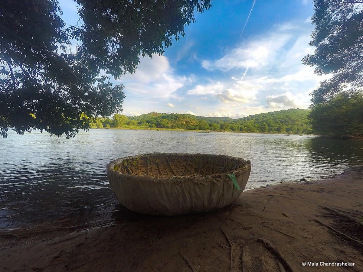 Galibore, a beauty on the banks of Cauvery