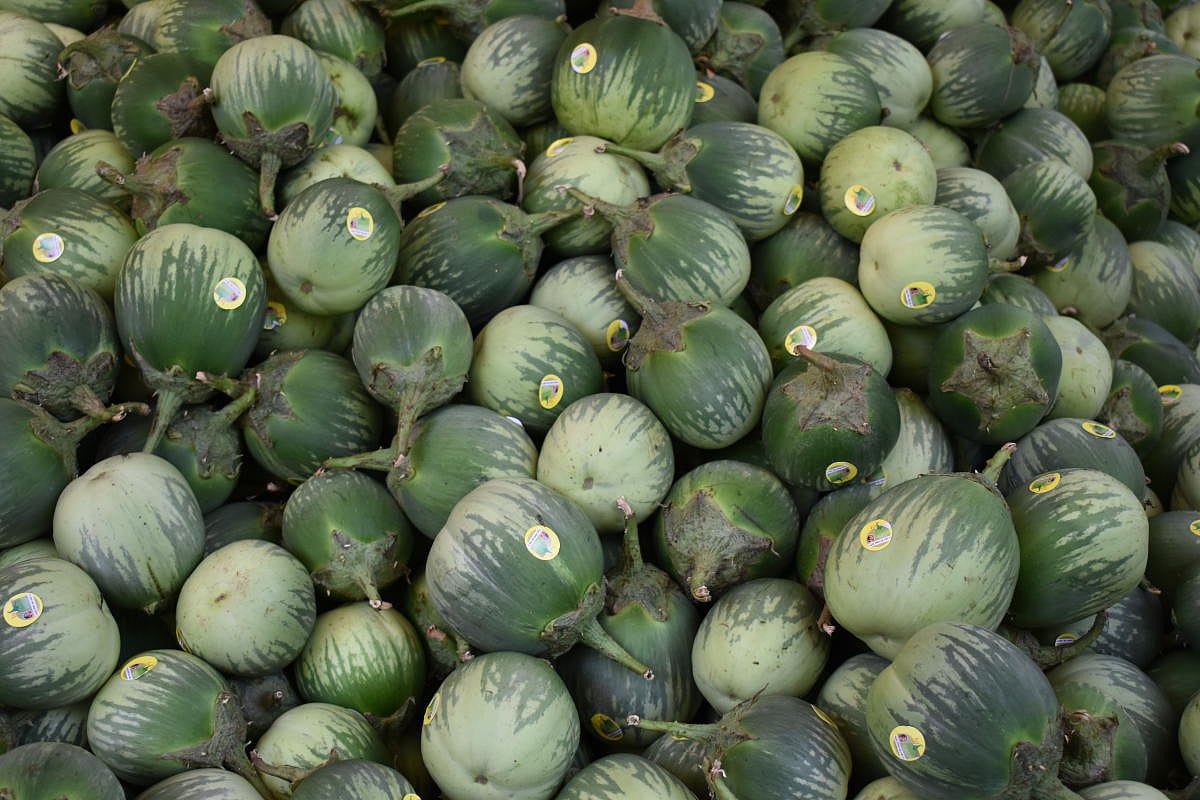 The haloed veggie lived to tell the tale