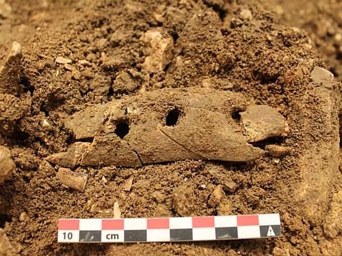 How ropes were made 40,000 years ago decoded