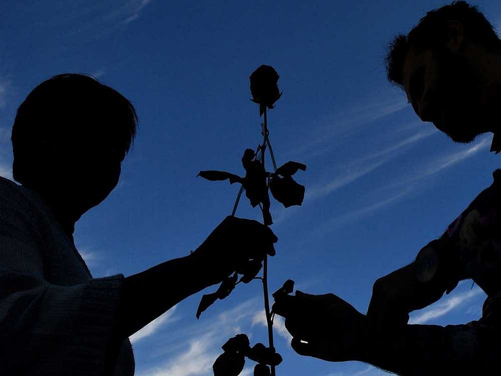 Muslims hand out 3,000 roses at London Bridge after attack
