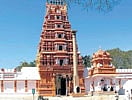 It's celebration time for K R Nagar