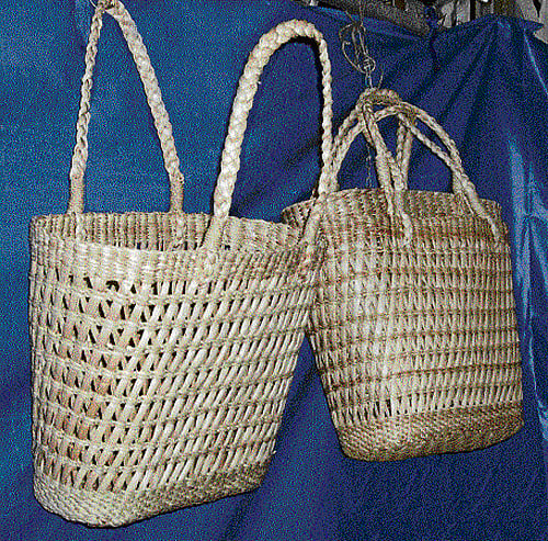 'Reeding' between the kauna craft lines