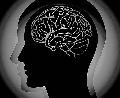 Brain can 'see' in the dark: study