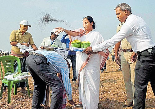 Singur needs 4 more yrs to grow crops