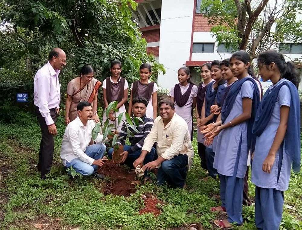Greenery a way of life for team that connects people with nature