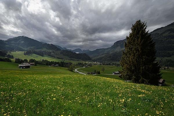 Coronavirus: How nature follows physical distancing, observes lockdown