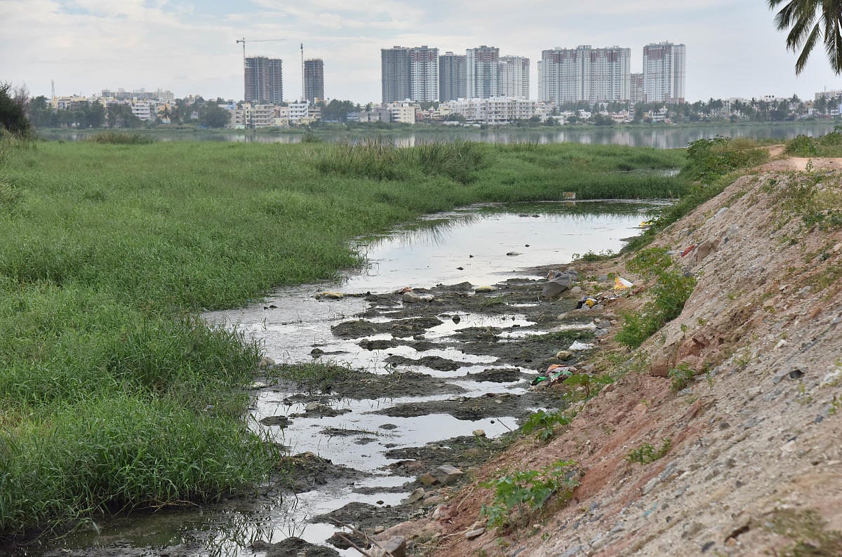 Corporate money to revive Varthur Lake
