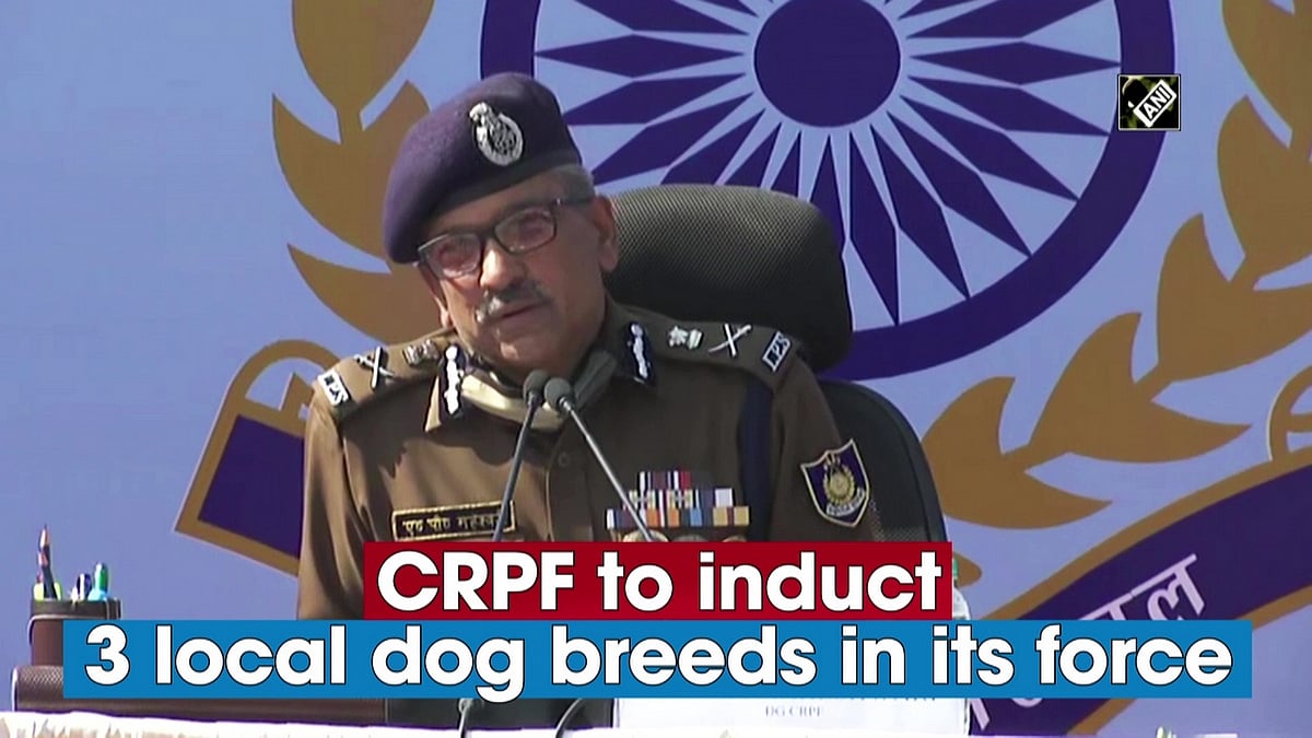 CRPF to induct 3 local dog breeds in its force