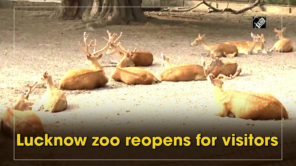 Covid-19: Lucknow zoo reopens for visitors