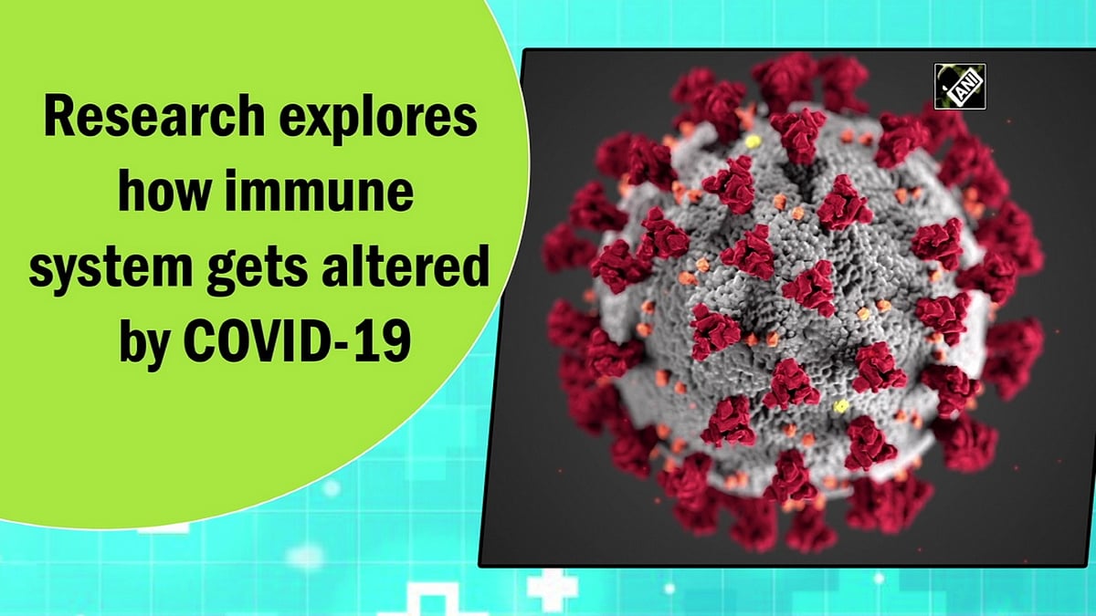 Research explores how immune system gets altered by Covid-19