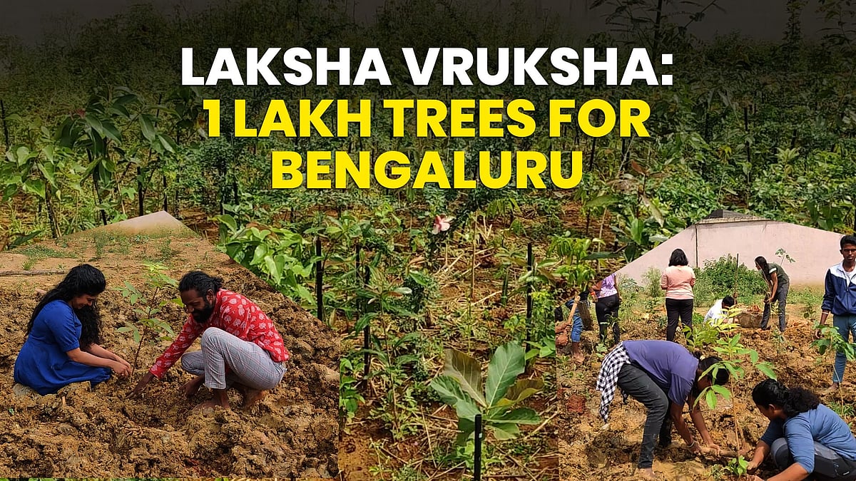These three organisations came together to plant 1 lakh trees in Bengaluru