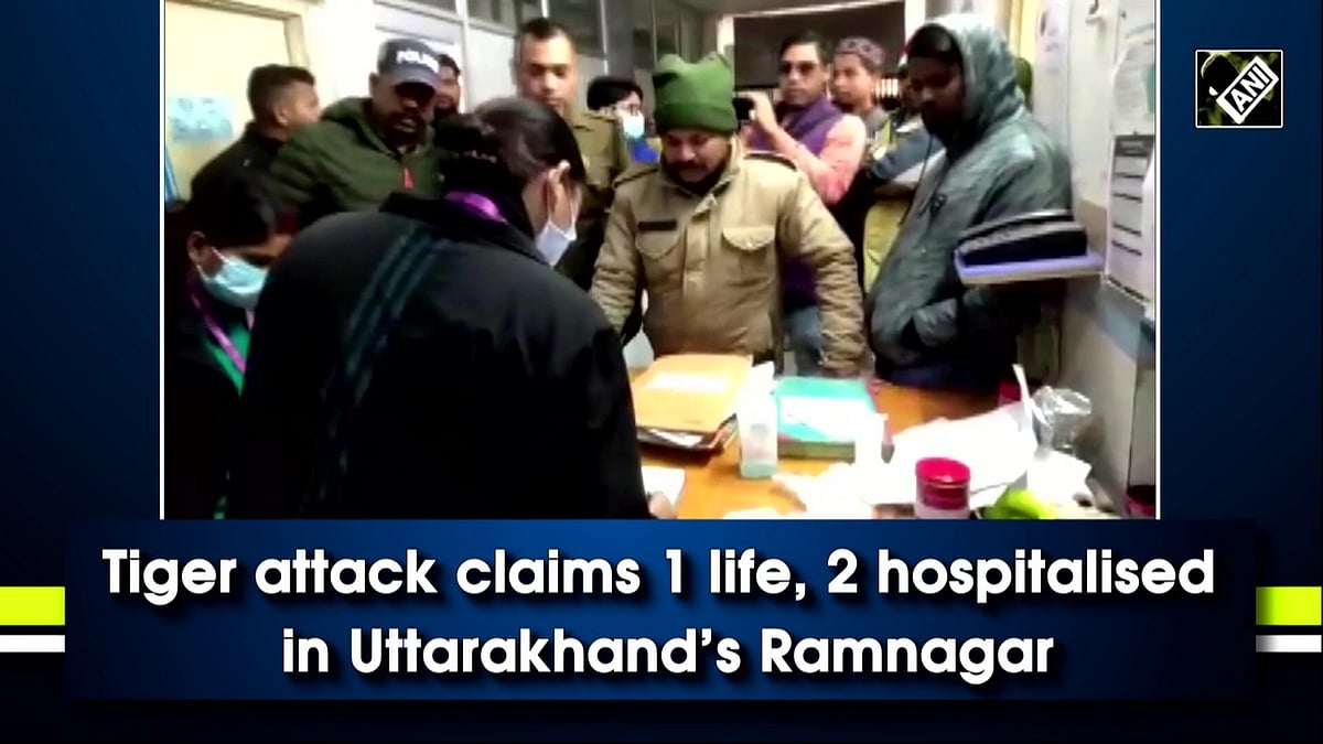 Tiger attack claims 1 life, 2 hospitalised in Uttarakhand's Ramnagar