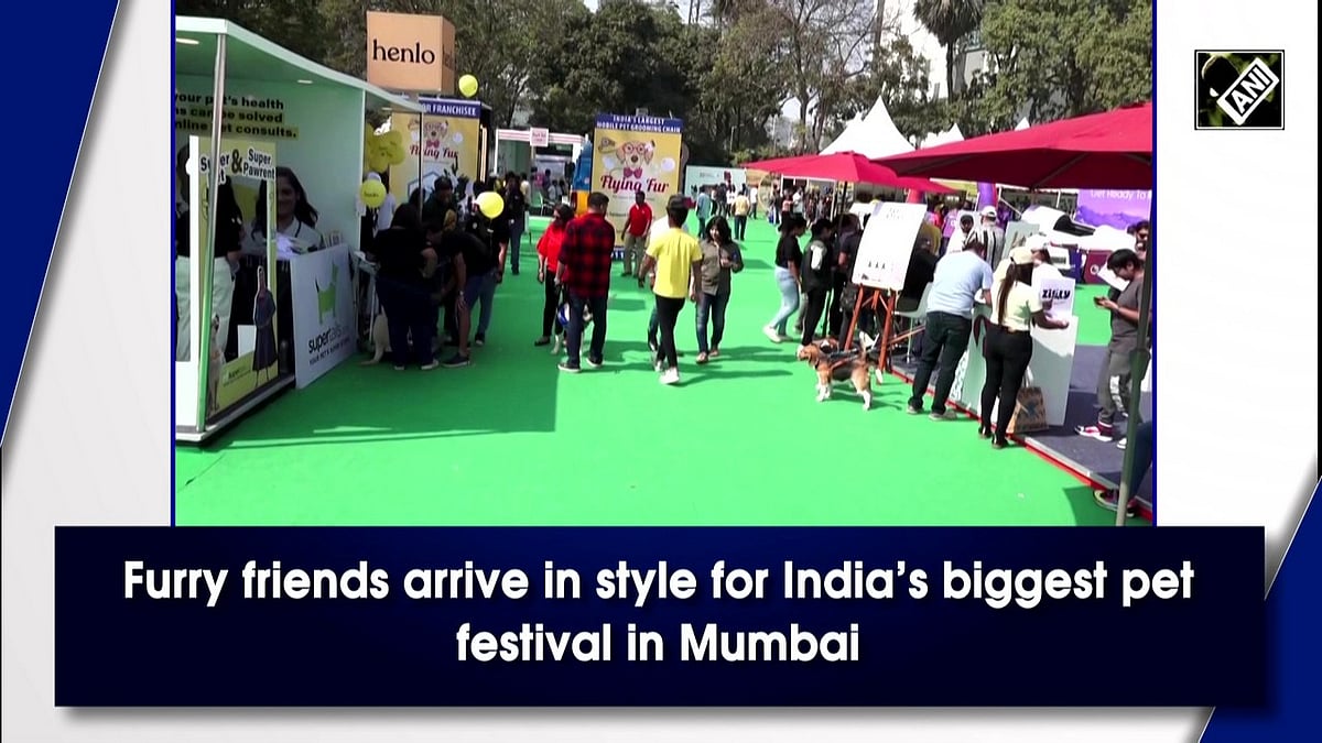 Furry friends arrive in style for India’s biggest pet festival in Mumbai