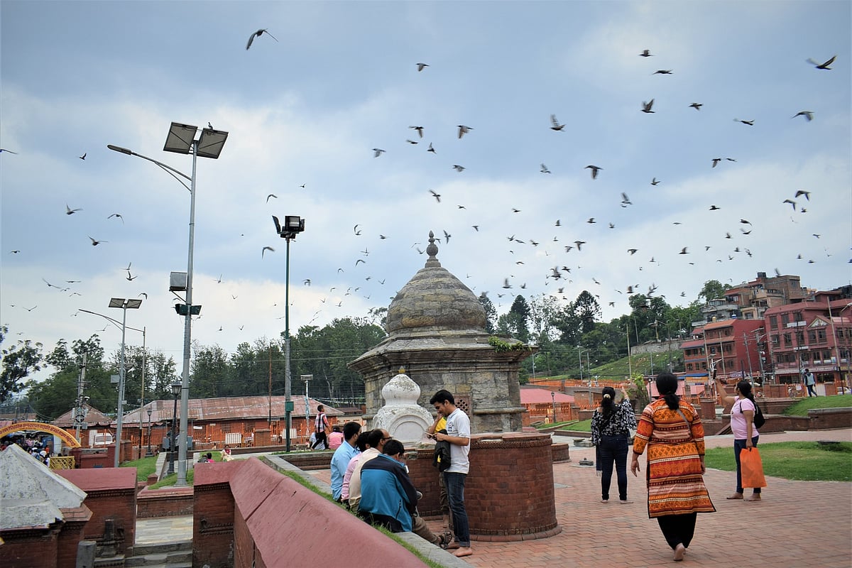 Soak in the aura, piety of Pashupatinath