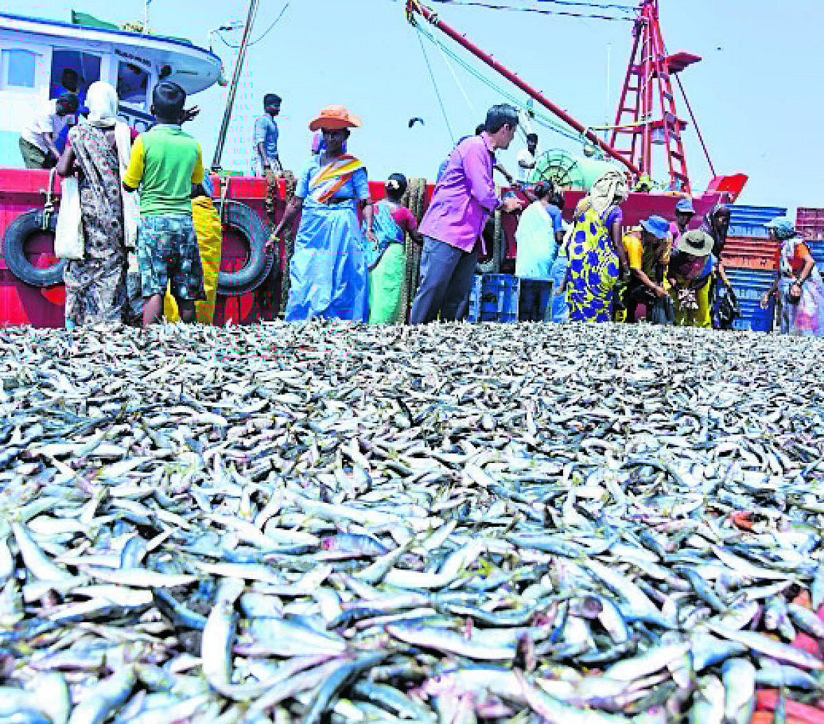 Distinct flavours of Karnataka