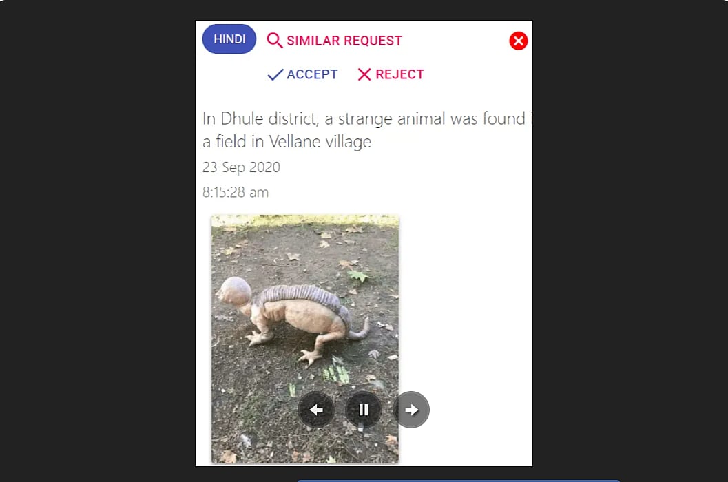 Fact Check: Photos of Italian artwork viral as ‘dangerous animal ...