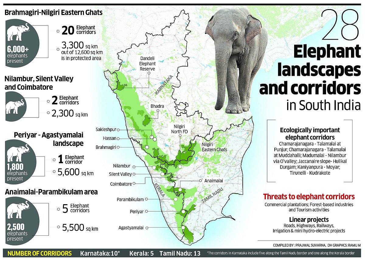 ELEPHANT CORRIDORS IN INDIA