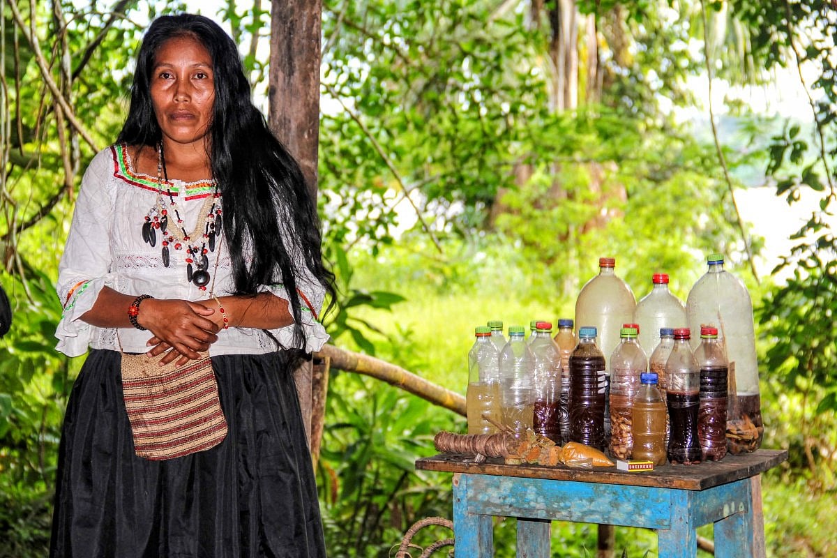 In the mighty jungles