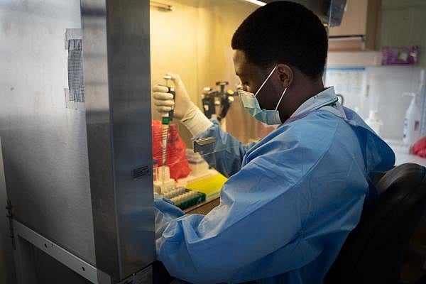 Understanding bat immune systems may help find new Covid-19 drug ...