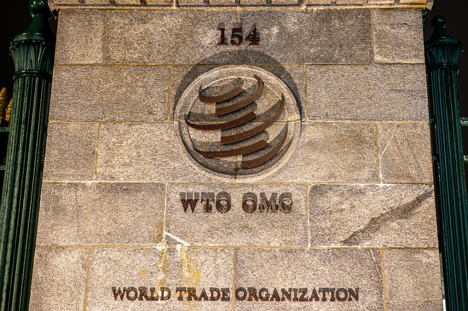 US panned for 'politicising' WTO interim chief process