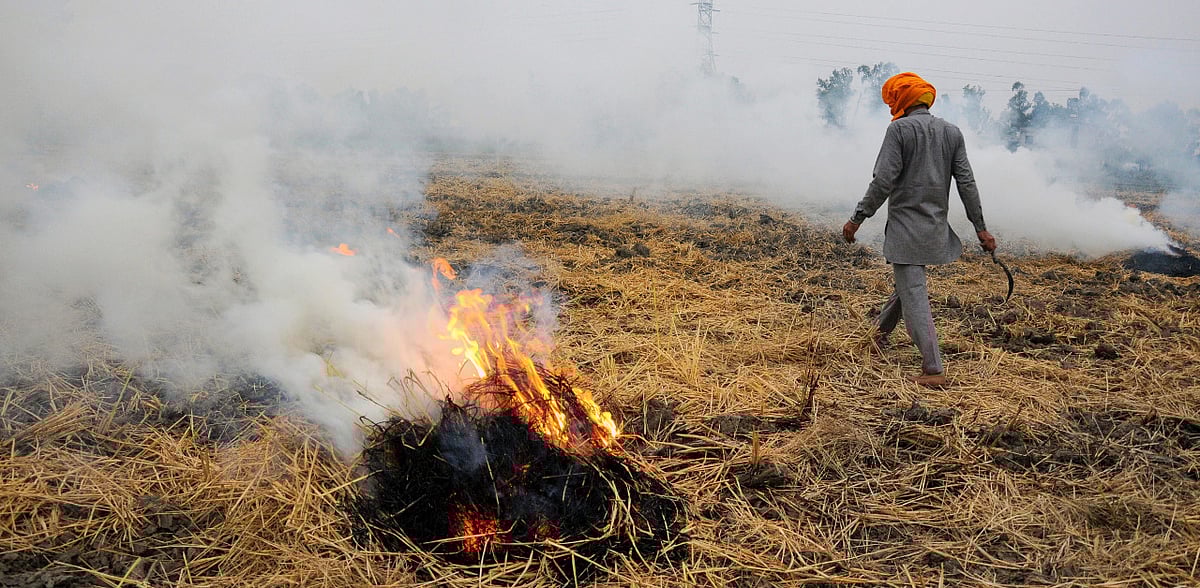NASA's satellite images show early stubble burning in Punjab, Haryana