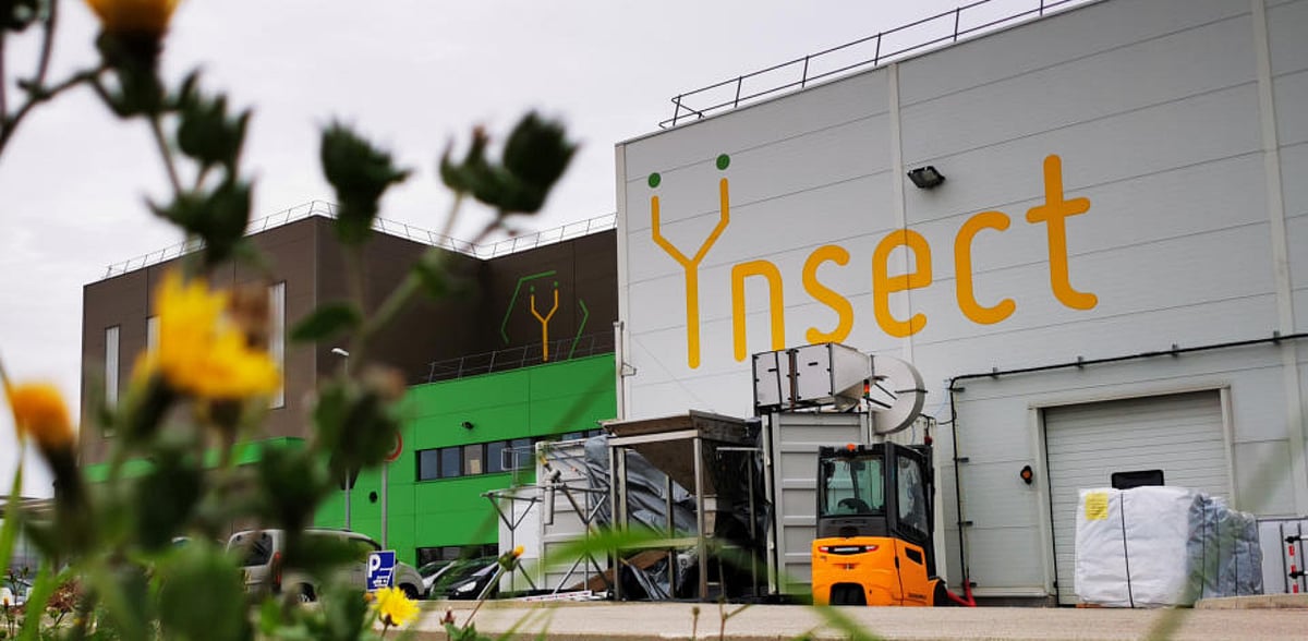 French startup Ynsect to build world's biggest bug farm