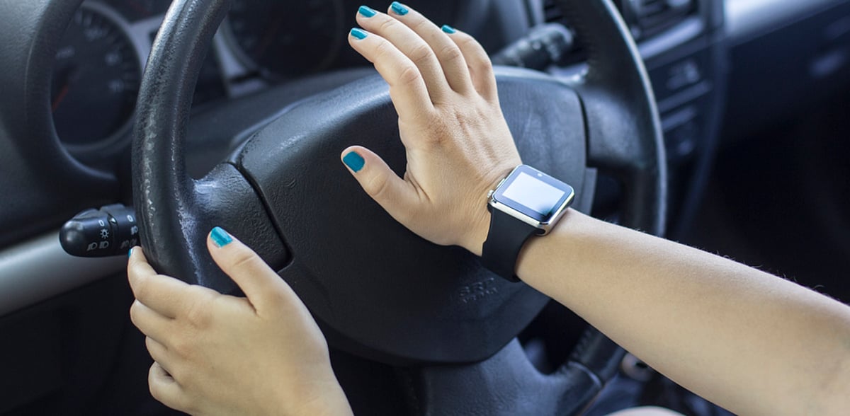 Honking gets a new meaning in American politics