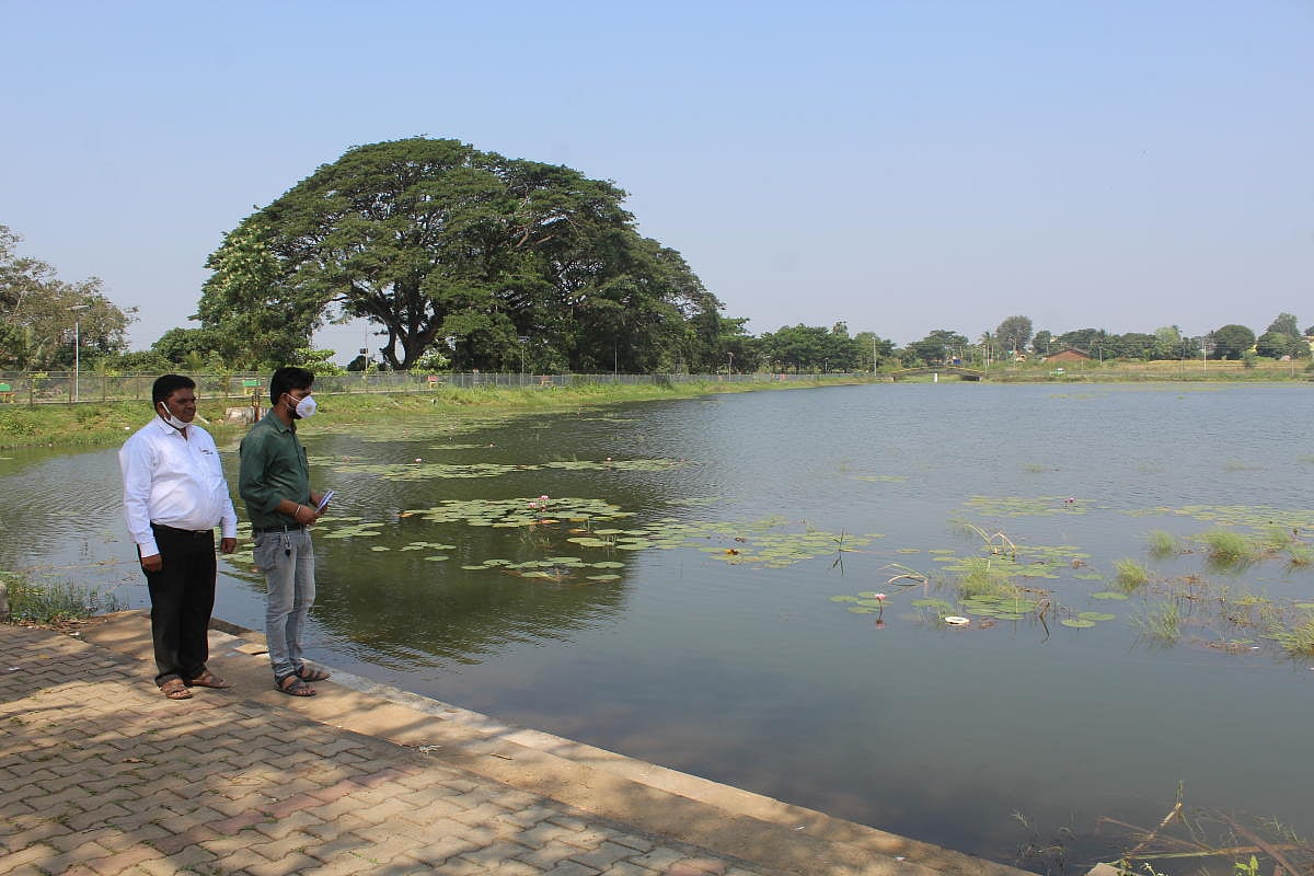Revival of Haliyal's lakes