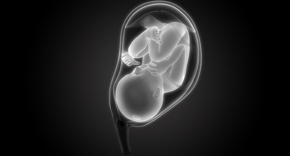 Infant, under-five mortality rates dip in 18 states, UTs: Survey